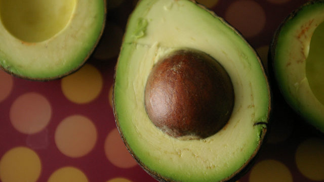 Giant Florida Avocado