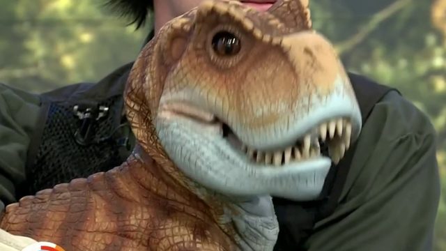 Ready to go on a "Jurassic Quest" with dinosaurs? Here's how.